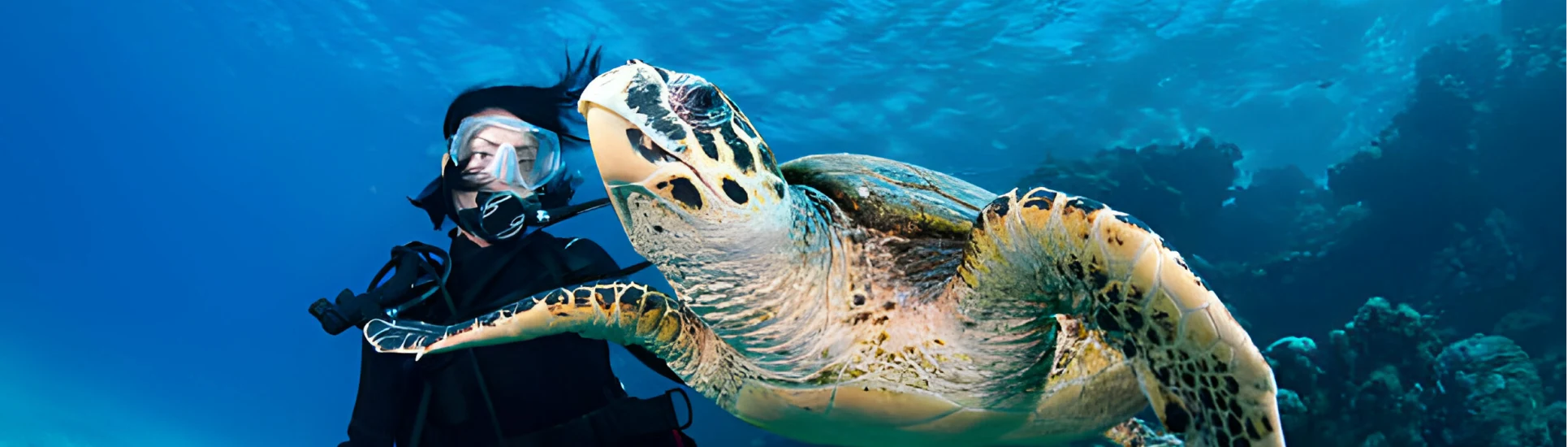 Marsa Alam - Noun Travel Egypt